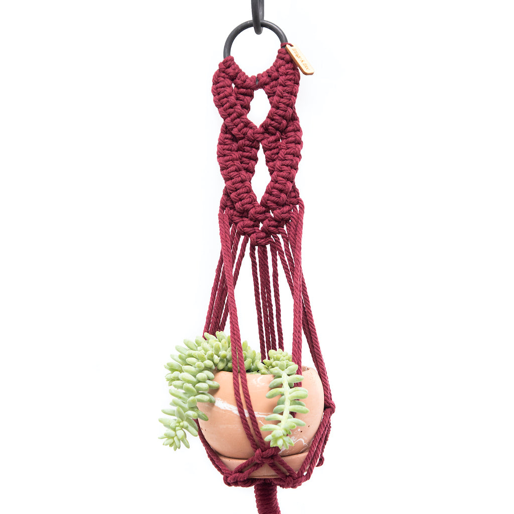 Marie Macrame Plant Hanger – Fringe & Free